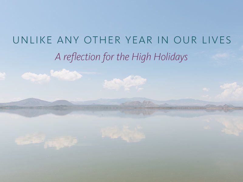 Unlike Any Other Year in Our Lives - A Reflection for the High Holidays ...